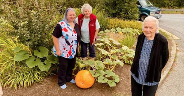 Order tickets for the Three Links 2024 Spring Raffle | Raffle Nexus